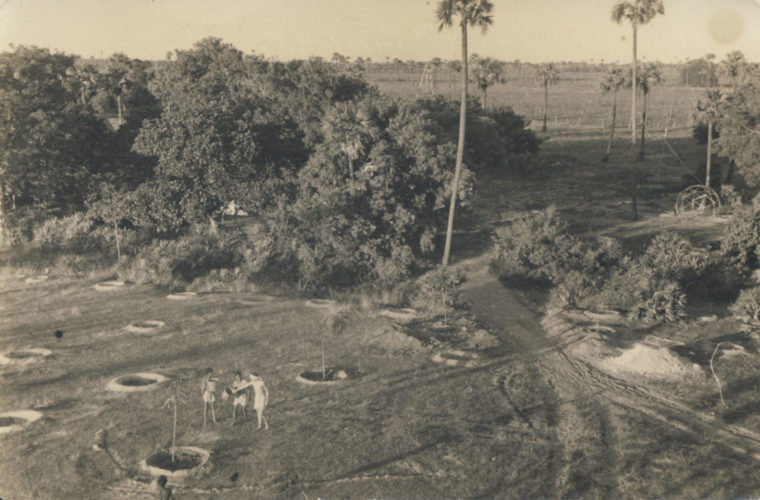 The Pitchandikulam Story | Pitchandikulam Forest