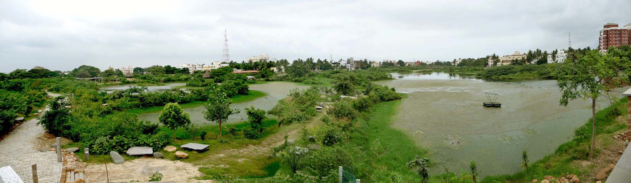 Adyar Eco Park,Chennai | Pitchandikulam Forest