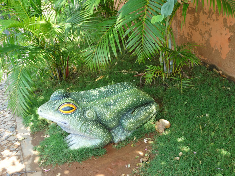 Chetpet Eco Park, Chennai | Pitchandikulam Forest